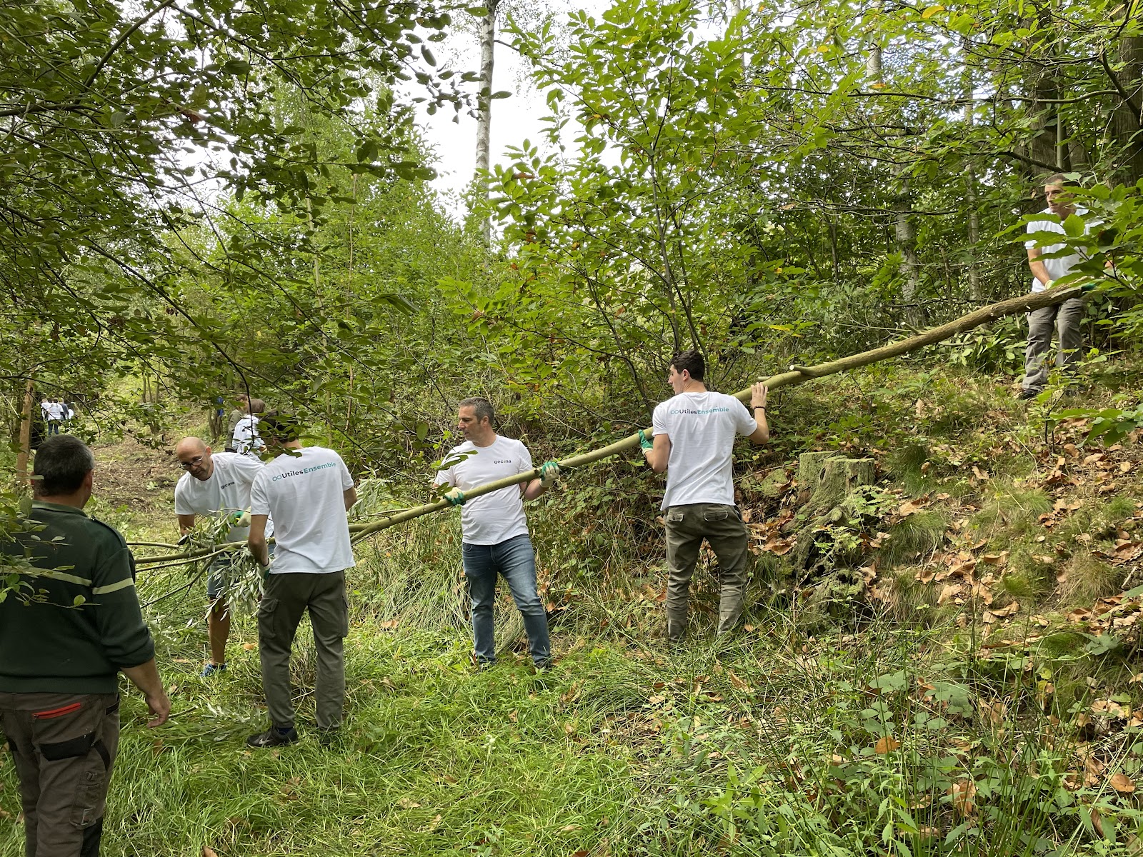 Gecina foundation - Gecina